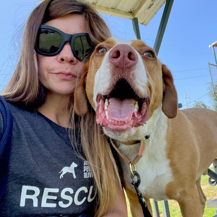 Austin Pets Alive! | Bandito