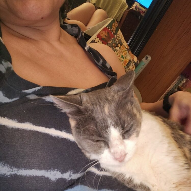 Austin Pets Alive! | See You Next Time