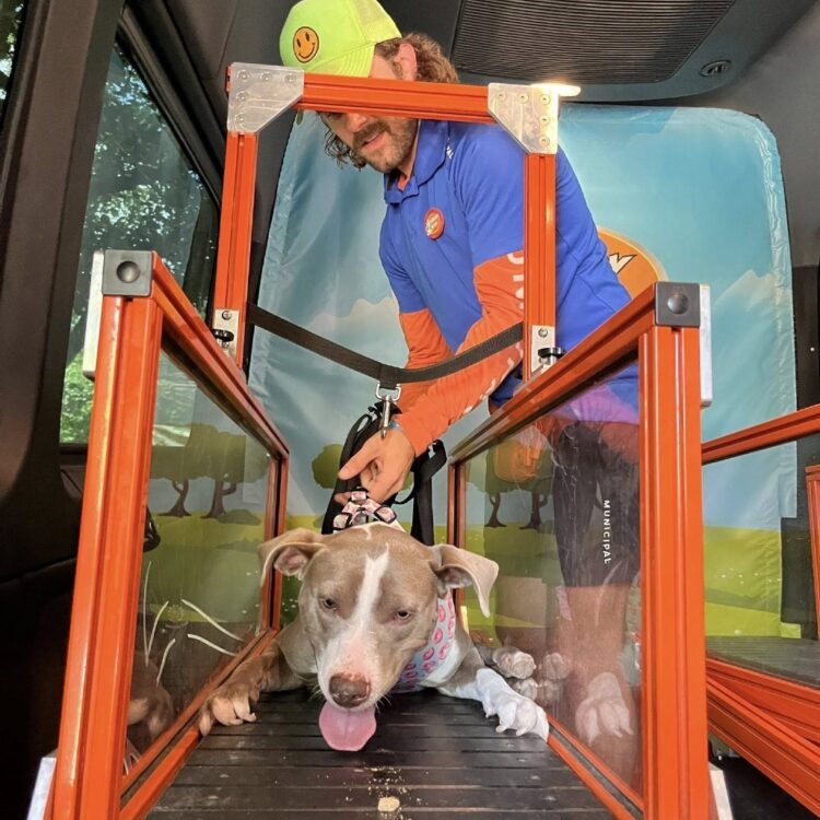 Austin Pets Alive! | Shea Butter